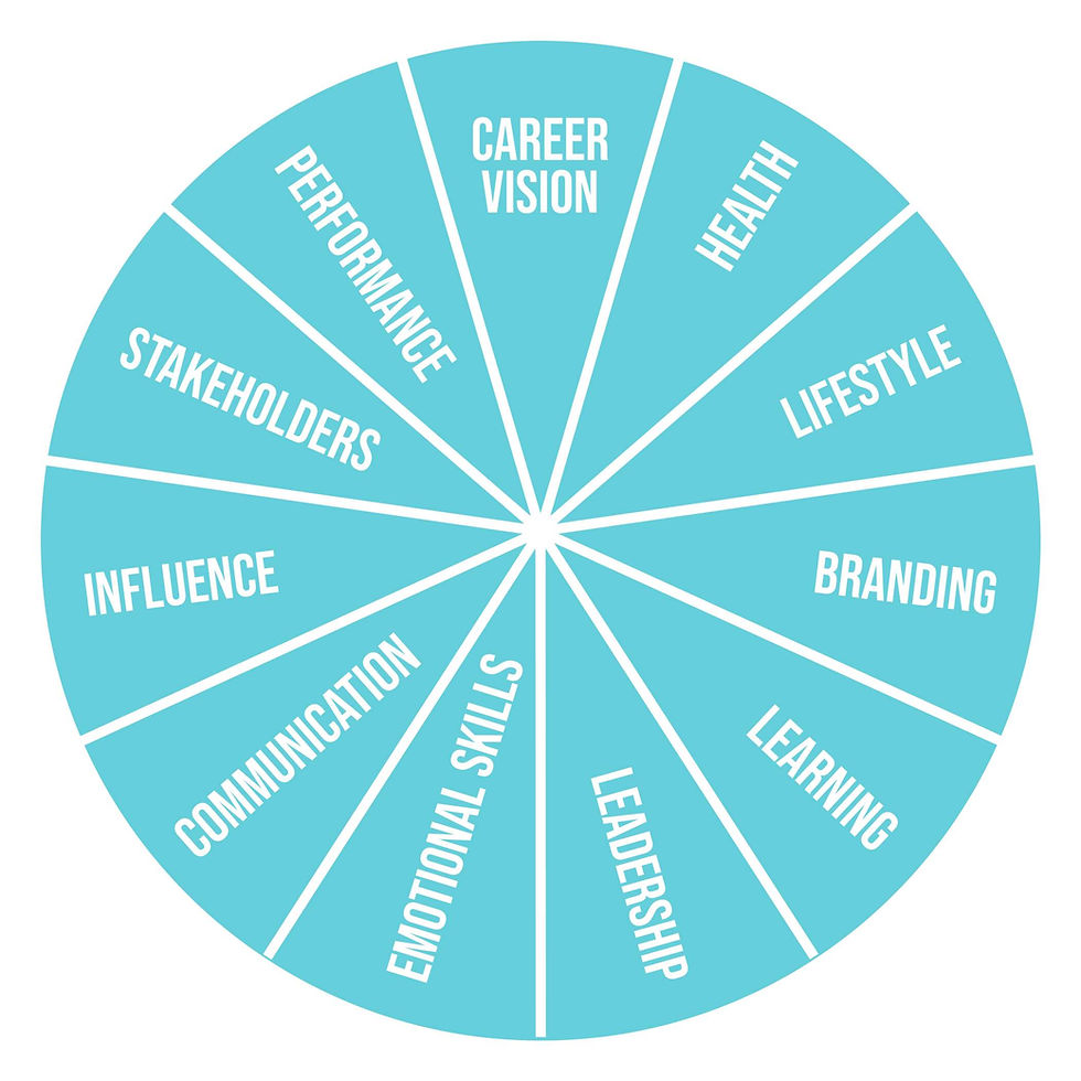 Our New Business Change School Career Wheel