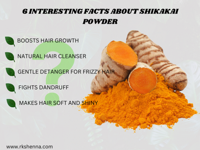 6 Interesting Facts About Shikakai Powder