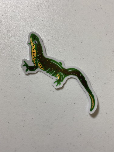 VaporWave Black-Spotted Newt Sticker | Shapes In Nature