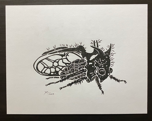 Spiny Treehopper Original Drawing | Shapes In Nature