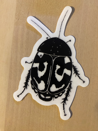 Question Mark Roach Sticker | Shapes In Nature