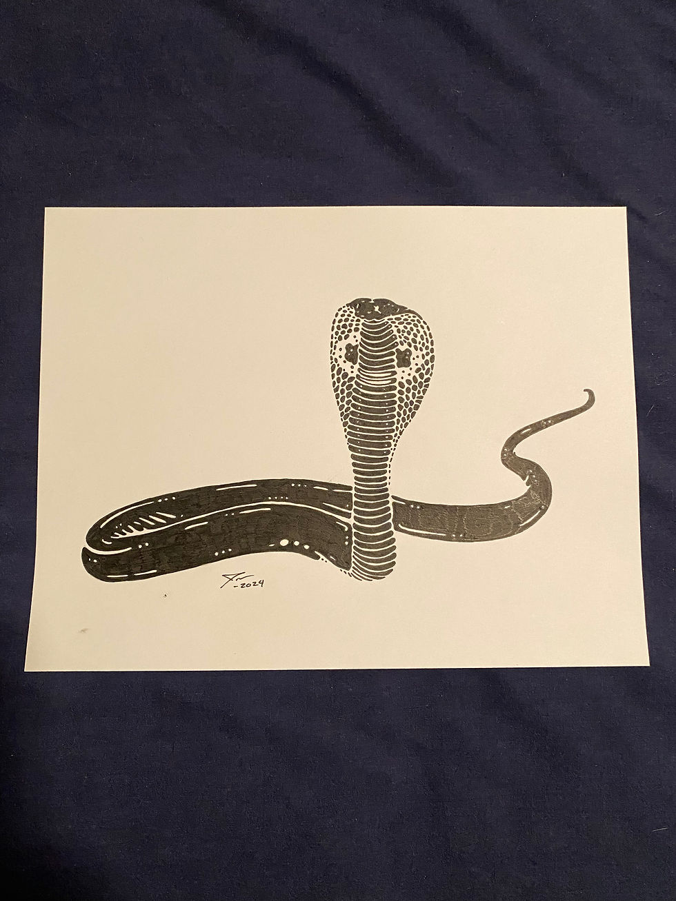 Indian Cobra Original Drawing | Shapes In Nature