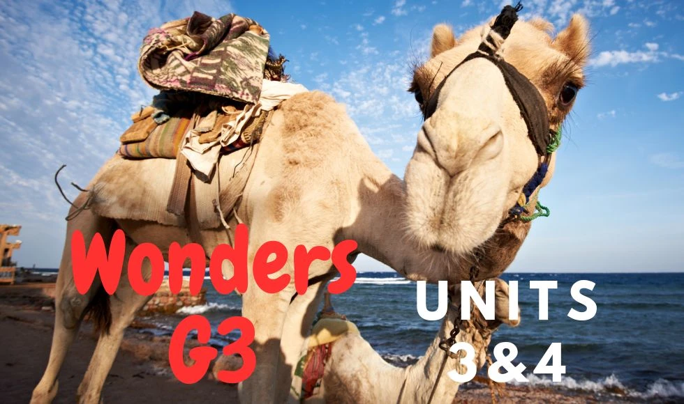 Wonders G3-Units 3 & 4 | TCEC