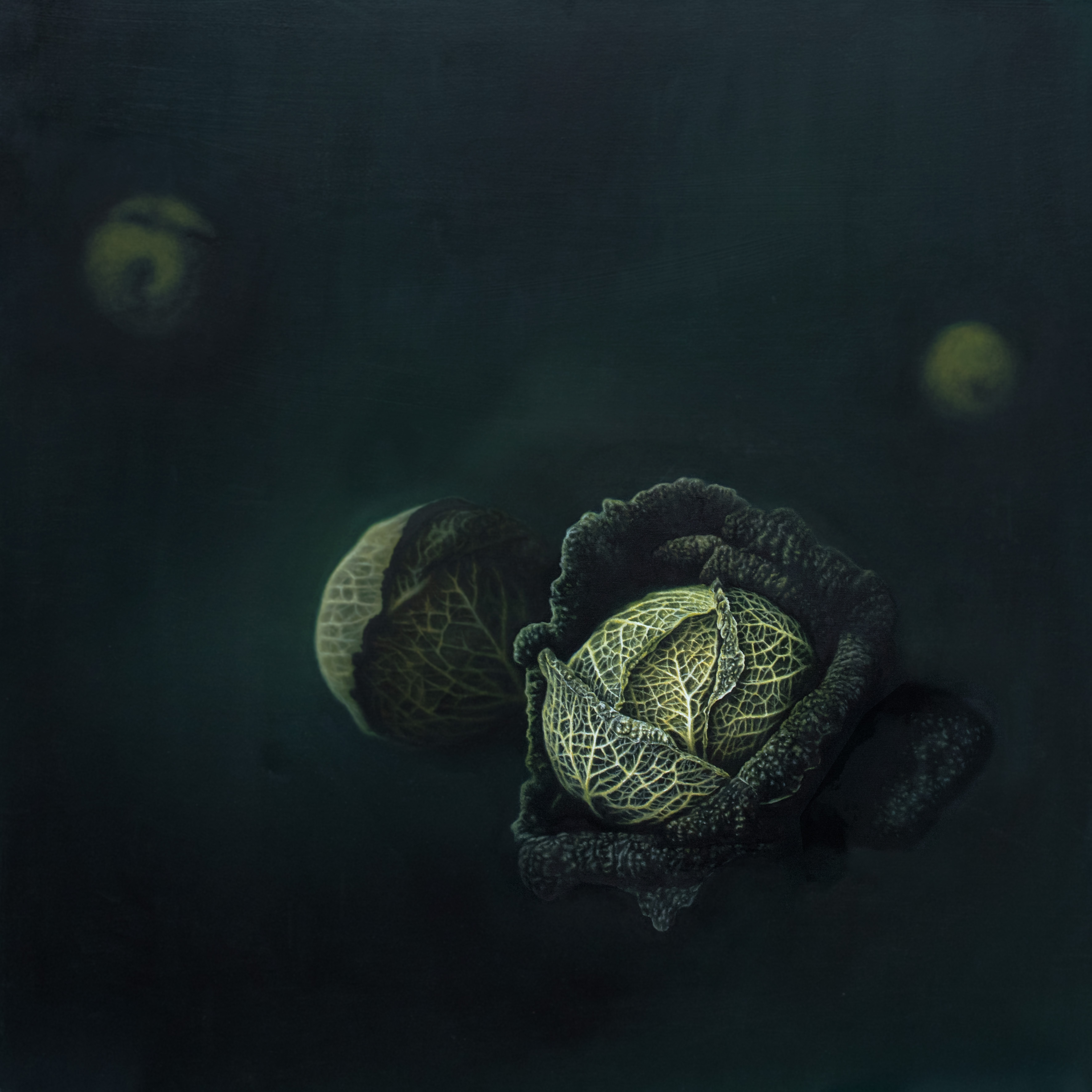 HOME | vasja-grabner-art