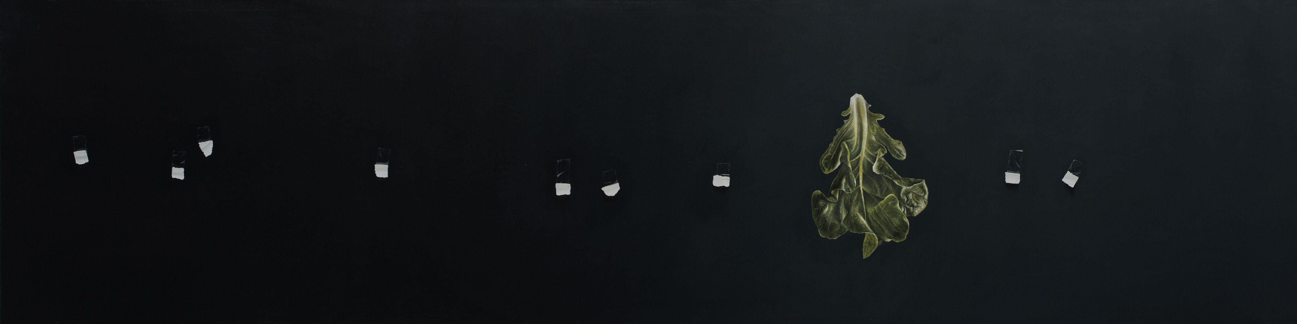 HOME | vasja-grabner-art