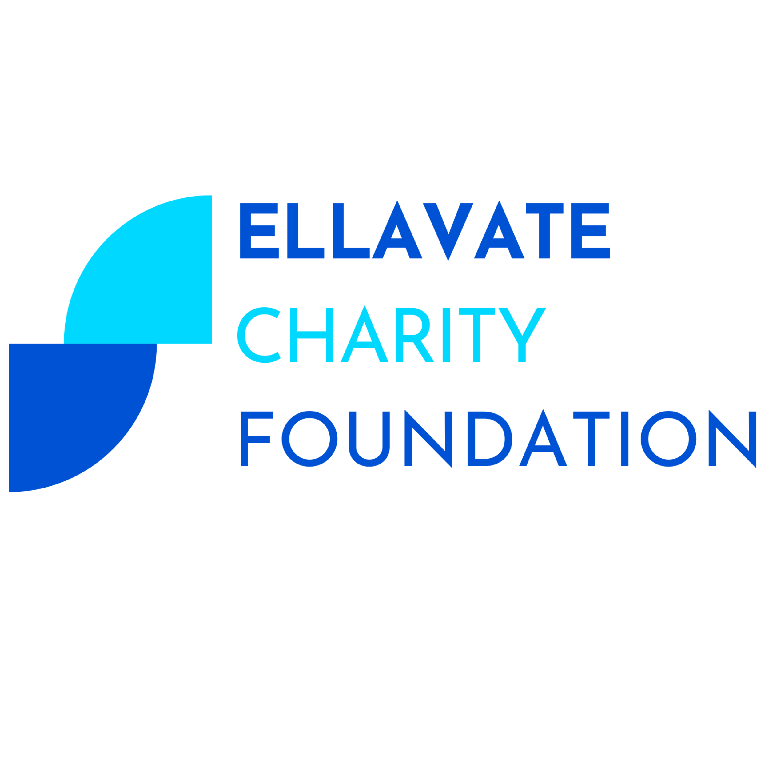 Ellavate Charity Foundation