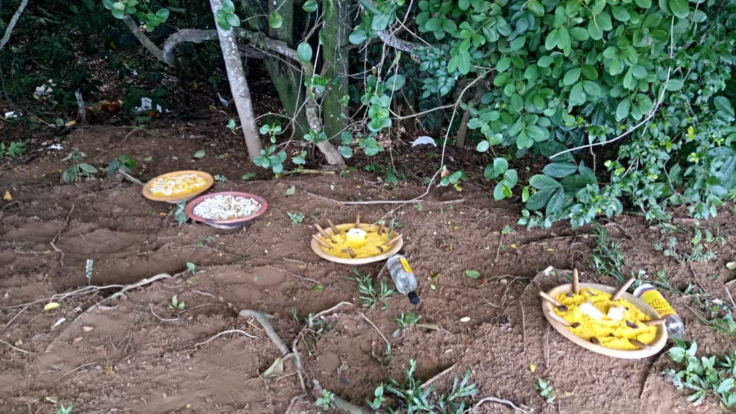 Understanding Ebó in Ifá: The Spiritual Practice of Sacrifice for ...