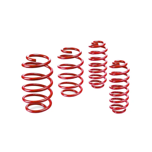 EIBACH AUDI RS3 SPORTLINE LOWERING SPRINGS (8Y) | H4ck Performance