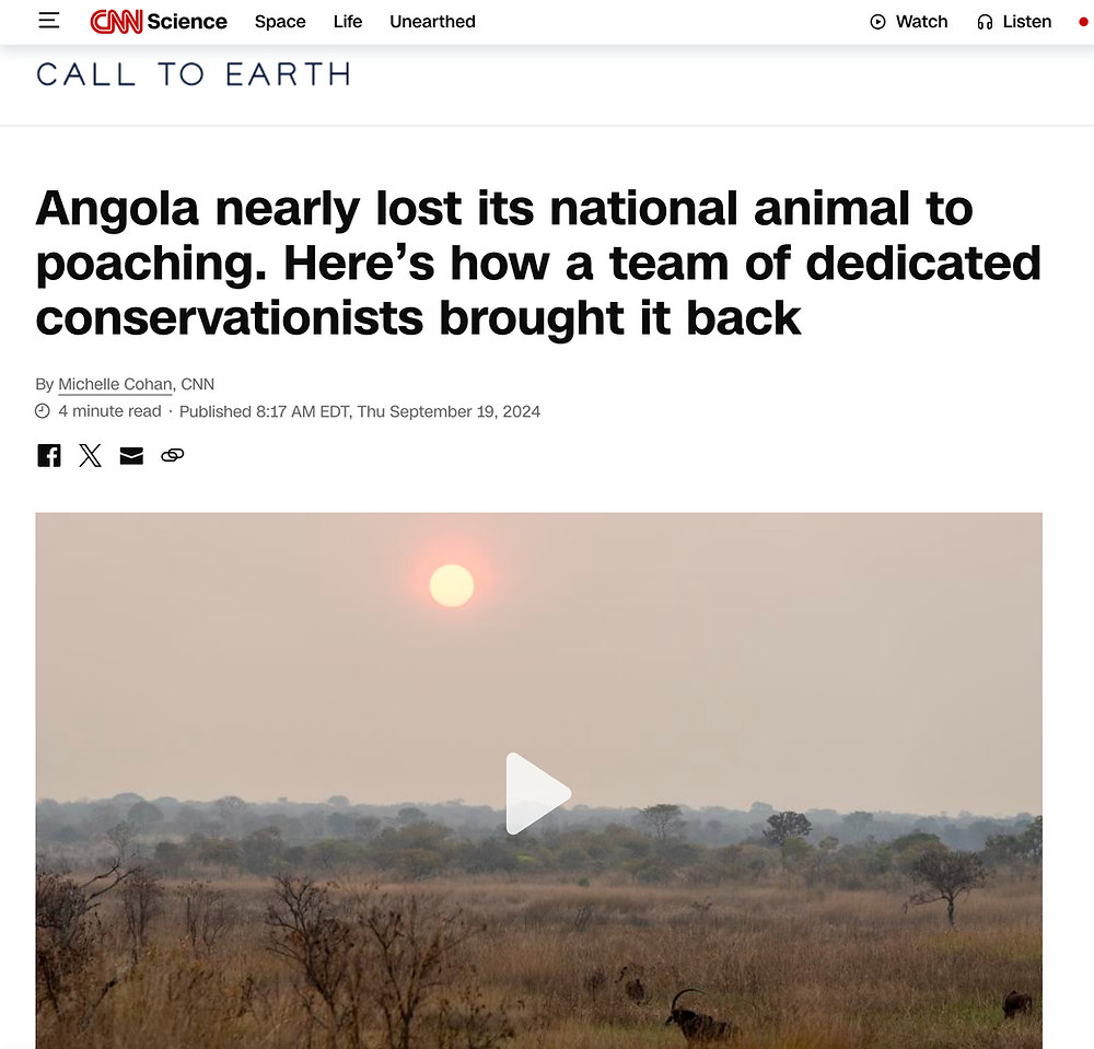 Angola nearly lost its national animal to poaching. Here’s how a team ...