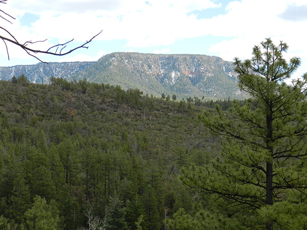 Discover Gila County | Star Valley, Arizona