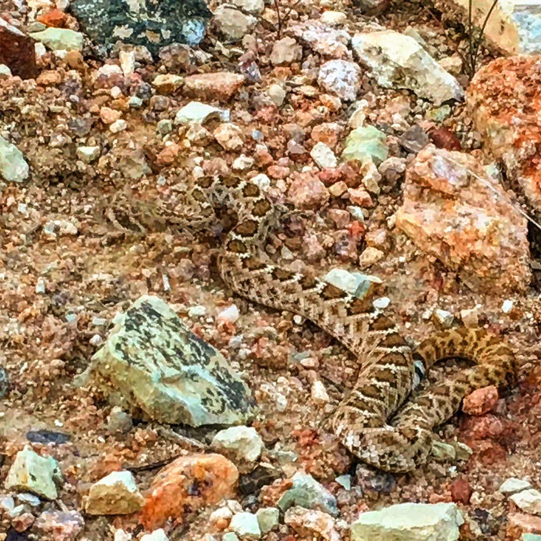 Discover Gila County | Tonto Basin, Arizona