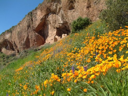 Discover Gila County | Tonto Basin, Arizona