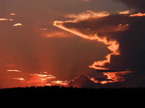 Discover Gila County | Star Valley, Arizona