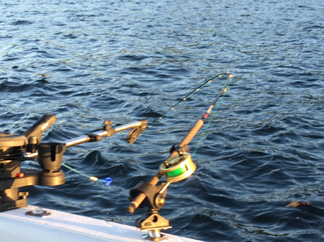 FISHING PICS | rite-angle-fishing