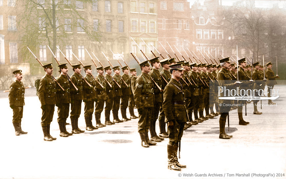 The Welsh Guards in Colour