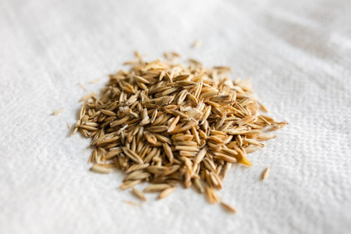Oats - Steamed & Flaked / Rolled 20Kg | grainstore