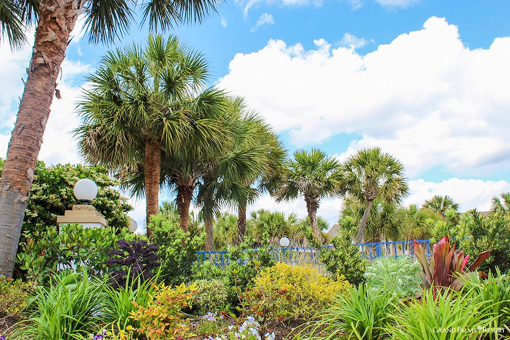 2023 Grand Palms Resort Updates