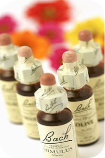 Individualized Flower Essence Formula | Good Tree Natural He