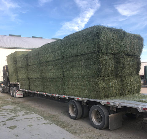 Strieter Hay Farms I Baled Hay Delivery I Hay for Sale I Michigan