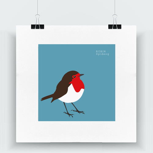 IRISH GARDEN BIRDS Robin - Spideog Art Print | Bex Shelford