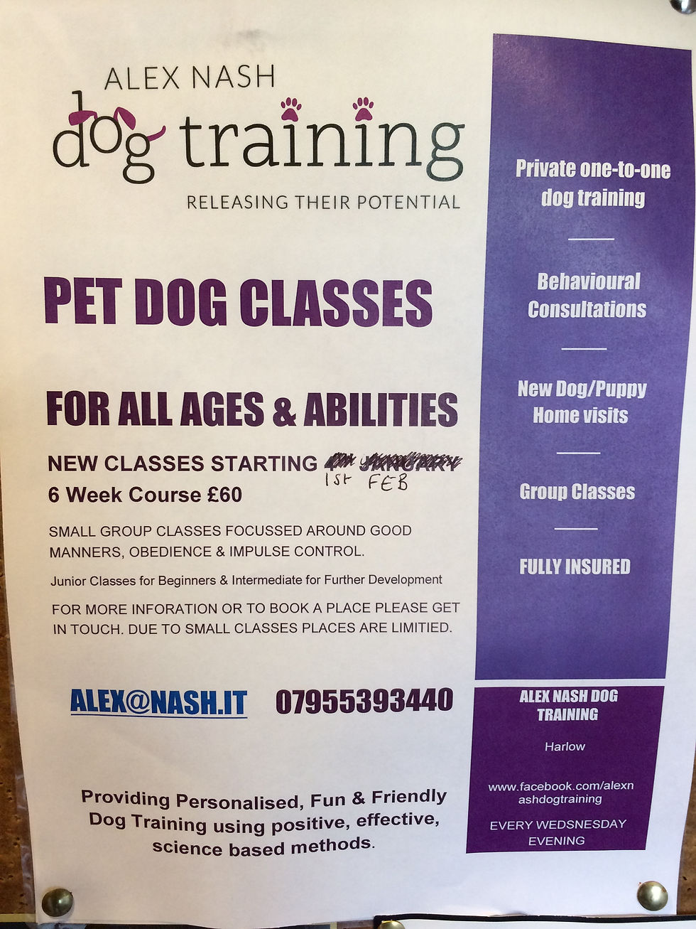 Matching Farmer's Market | Harlow | Matching Village Hall