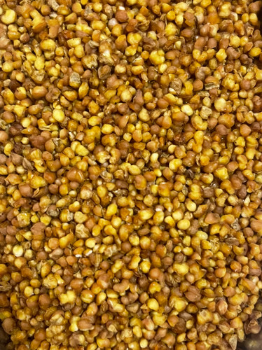 Sobacha - Japanese Buckwheat | Tea Cozy