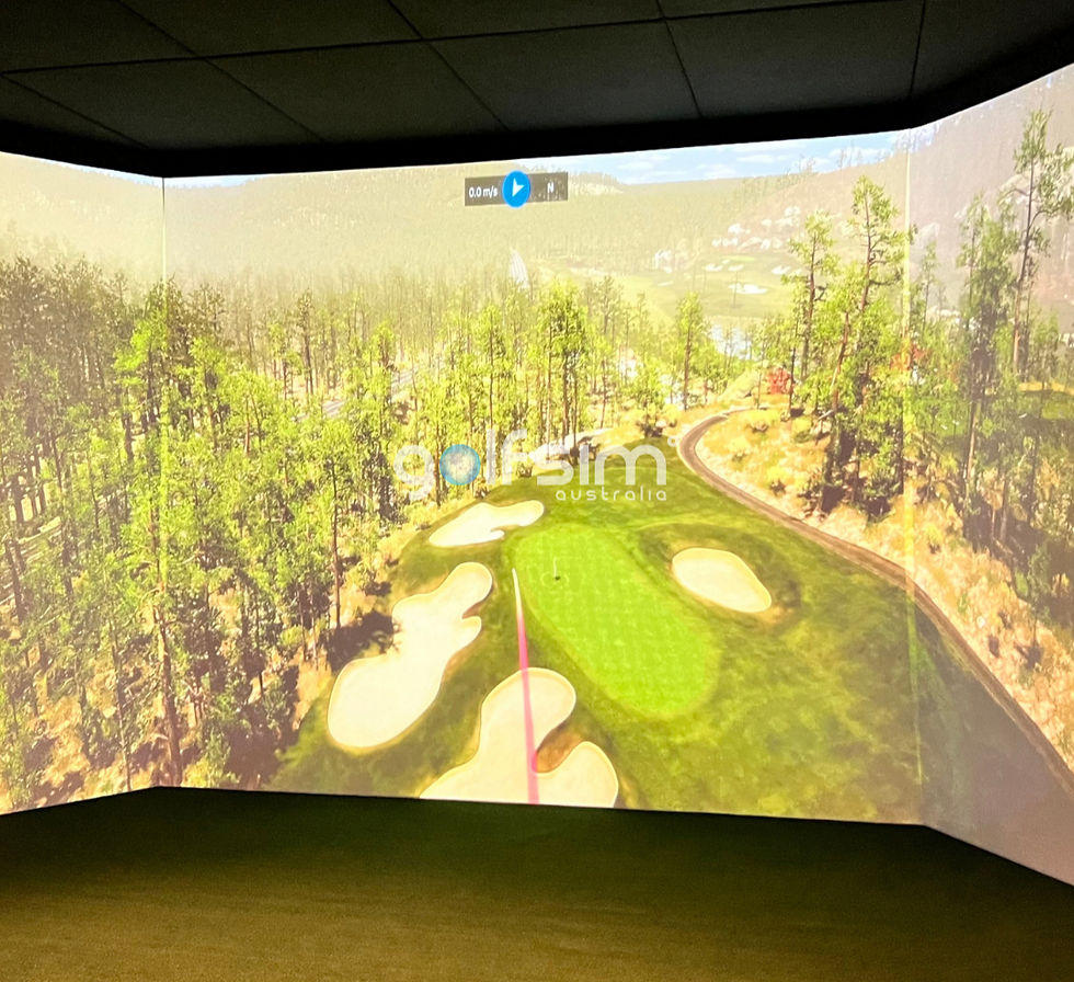 What it's really like to play on a premium golf simulator?