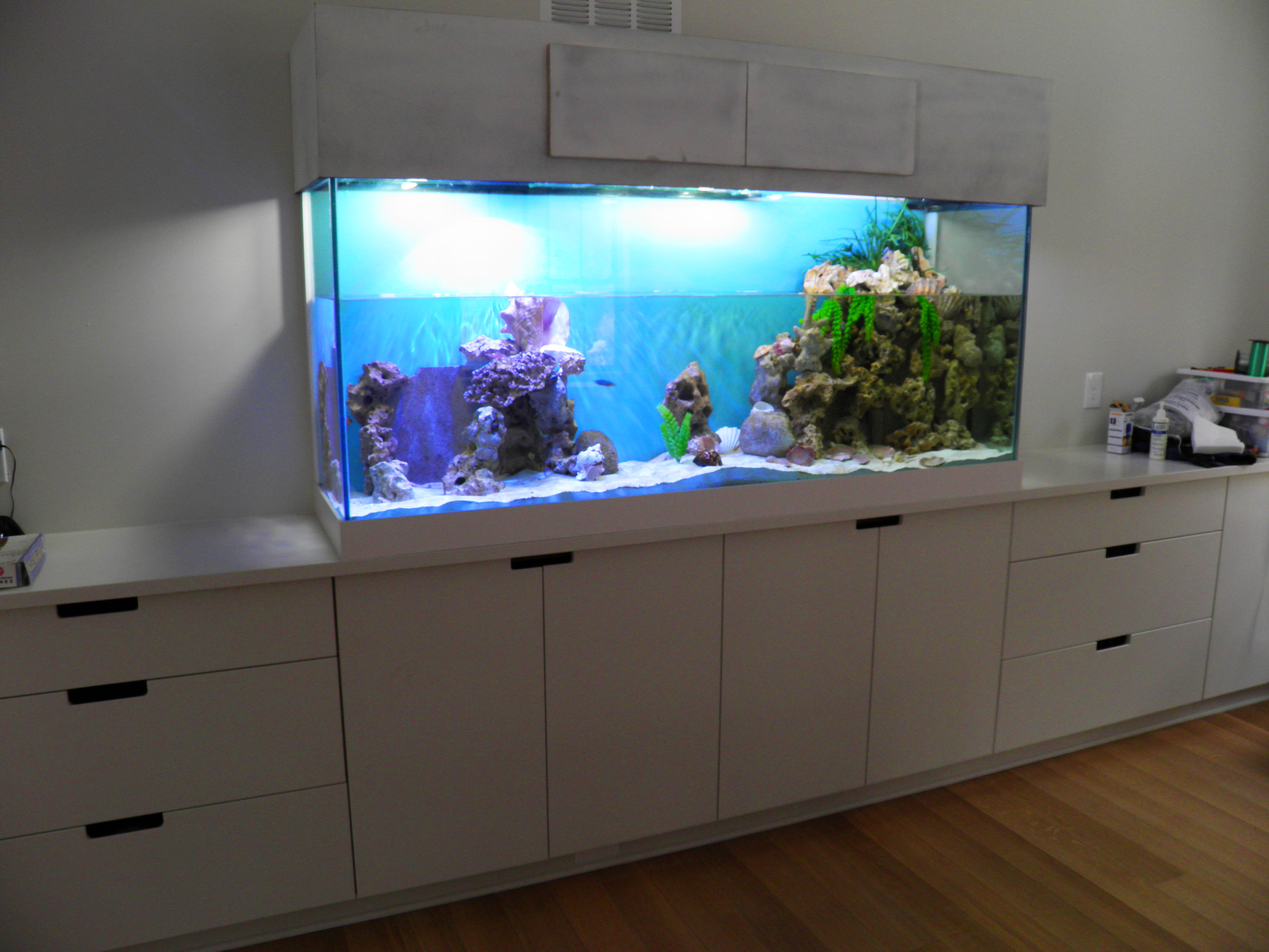 Aquarium Gallery | aquaterra environments