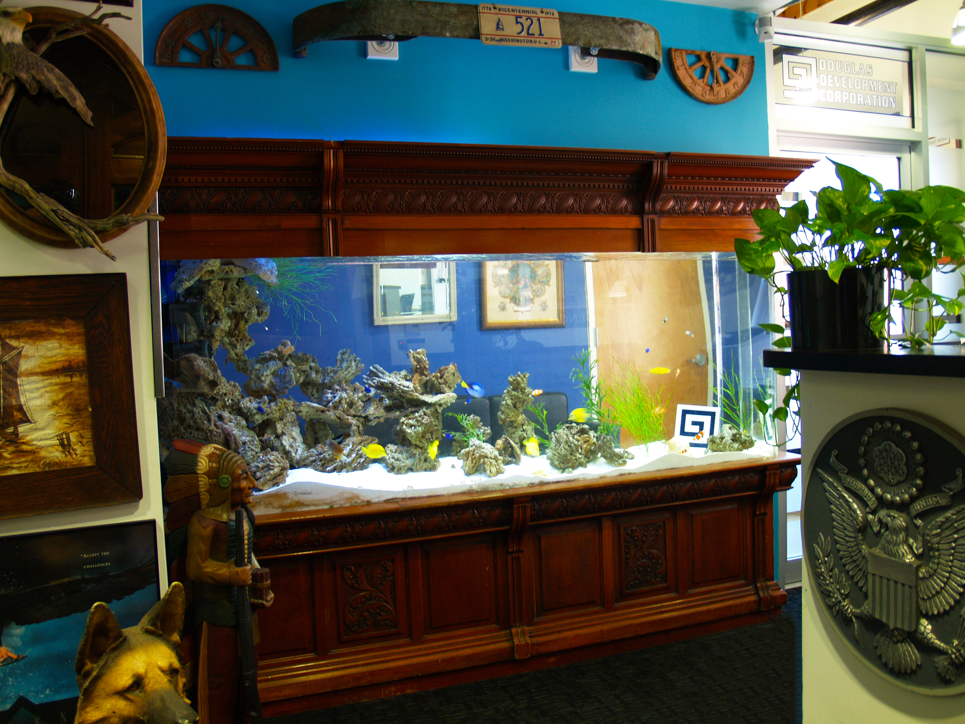 Aquarium Gallery | aquaterra environments