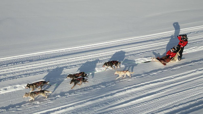 Husky Safari Self-Guided 5 km in Levi