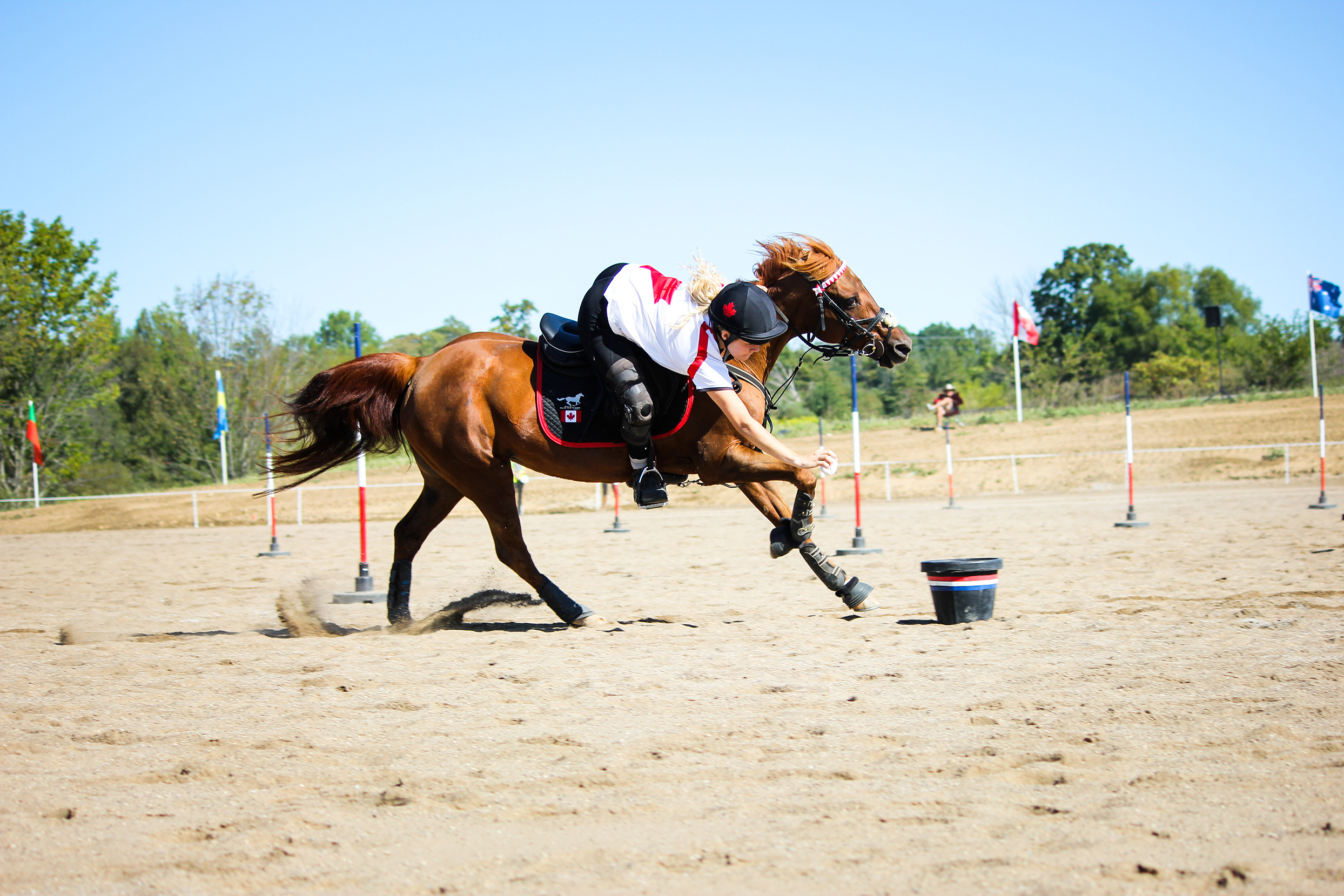 Equine Mounted Games Canada