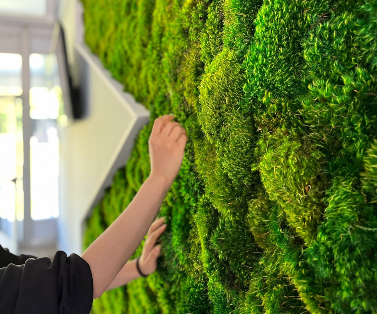 Biophilic Design & Moss Wall Inspiration | Wildleaf Blog