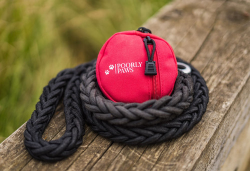 First Aid Kit | Poorly Paws