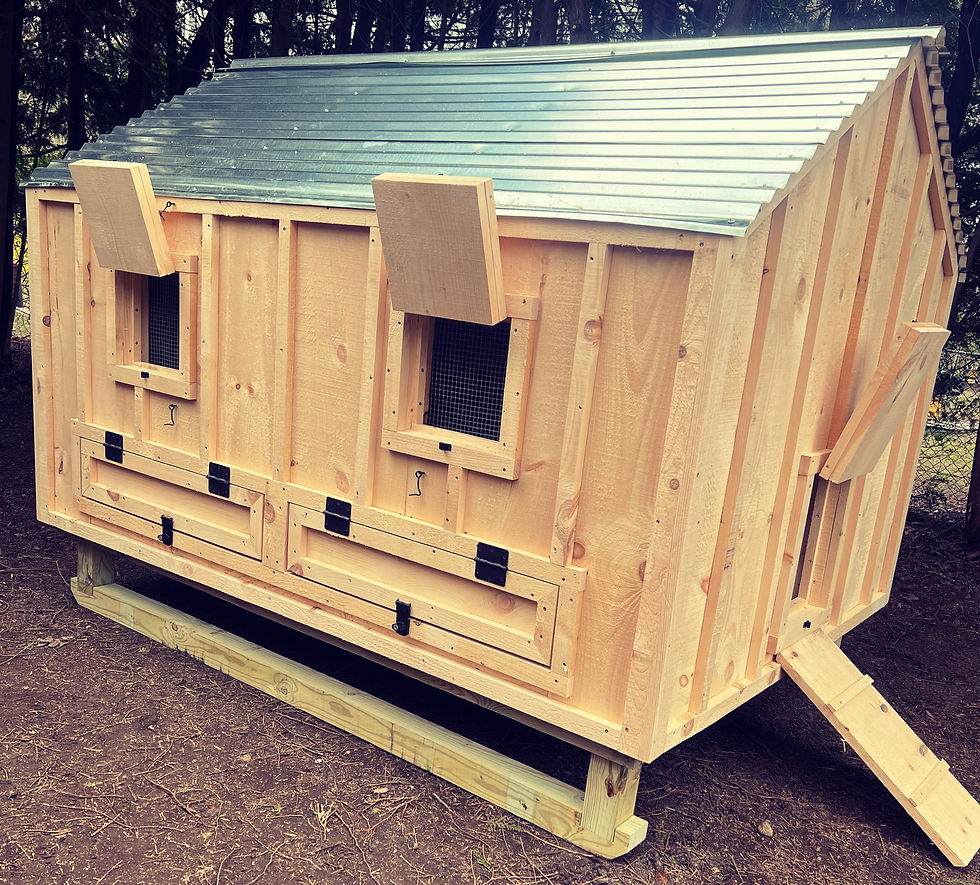 Premium Handcrafted 6x8 Cottage Chicken Coop | Northup Acres