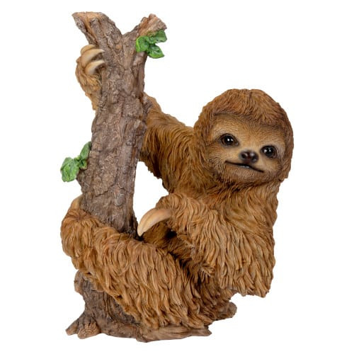 Climbing Sloth | Truesculpt