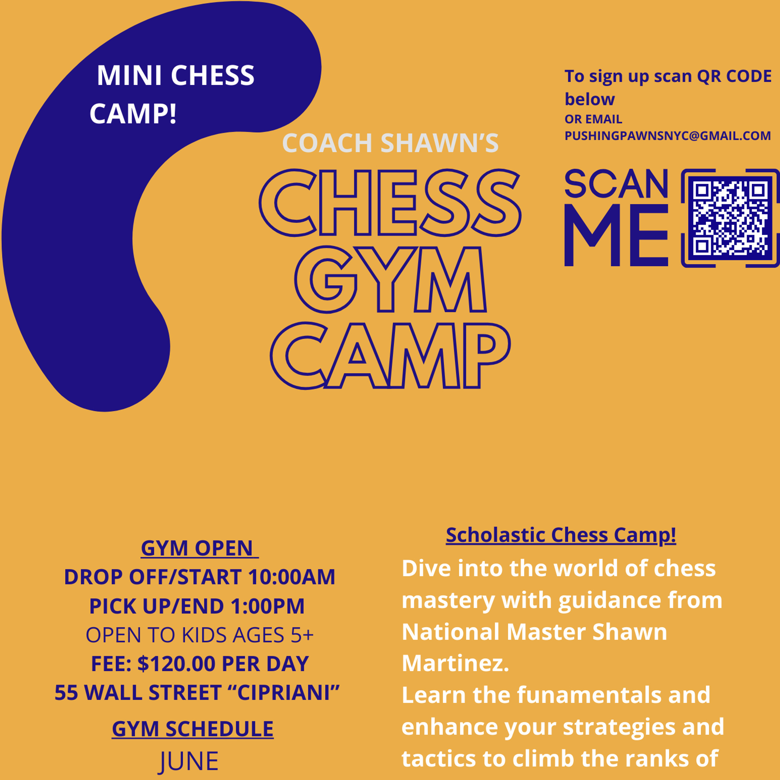 COACH SHAW'S MINI CHESS CAMP 2024 | New York City