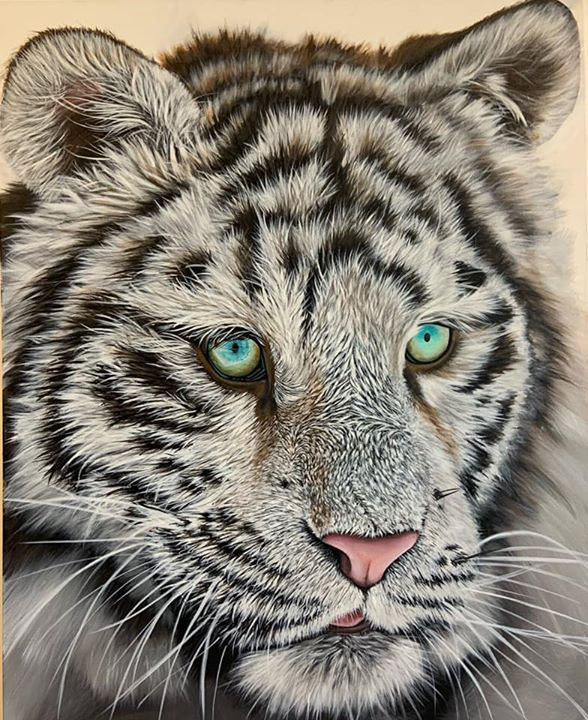 White Tiger, Print on Paper | Mysite