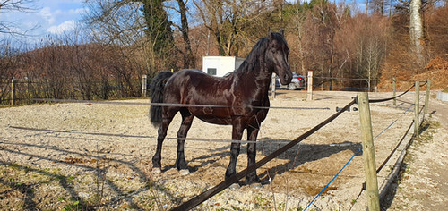 Teake VD Koaimoune | Domaine Ogens