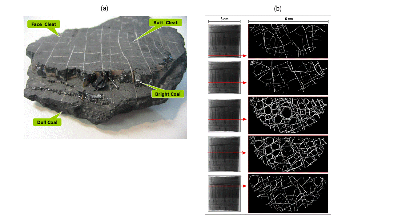 Coalbed methane