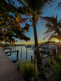 Home | Patrona Coastal Café