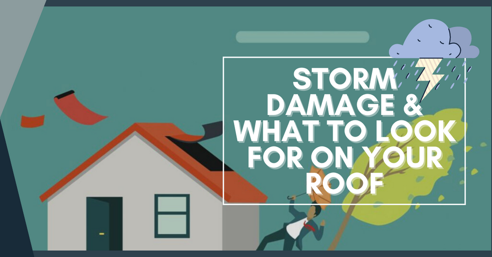Signs of Damage to Look for After a Major Storm