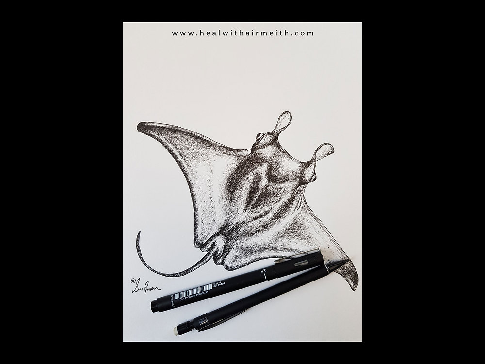 Spirit Animal - Manta Ray