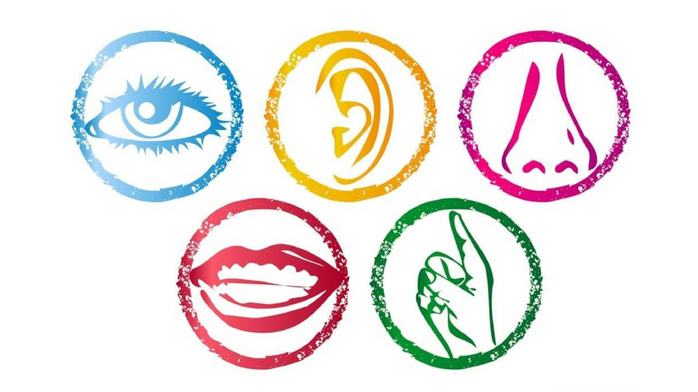 Writing Sensory Description Part 1 Writing Sensory Description Part 1