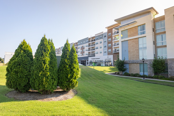 Gallery | Southern Horticulture Landscaping | Jackson, MS