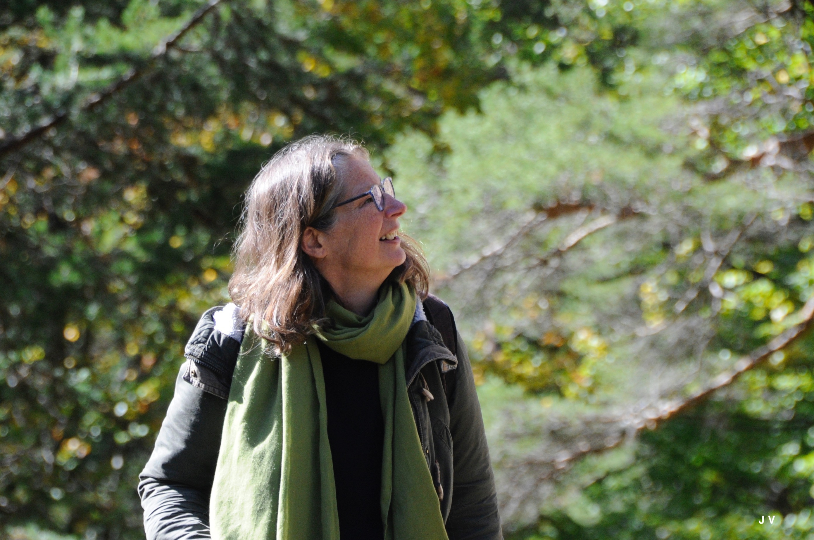 West-Vlaanderen, Regio Brugge | Bosbaden