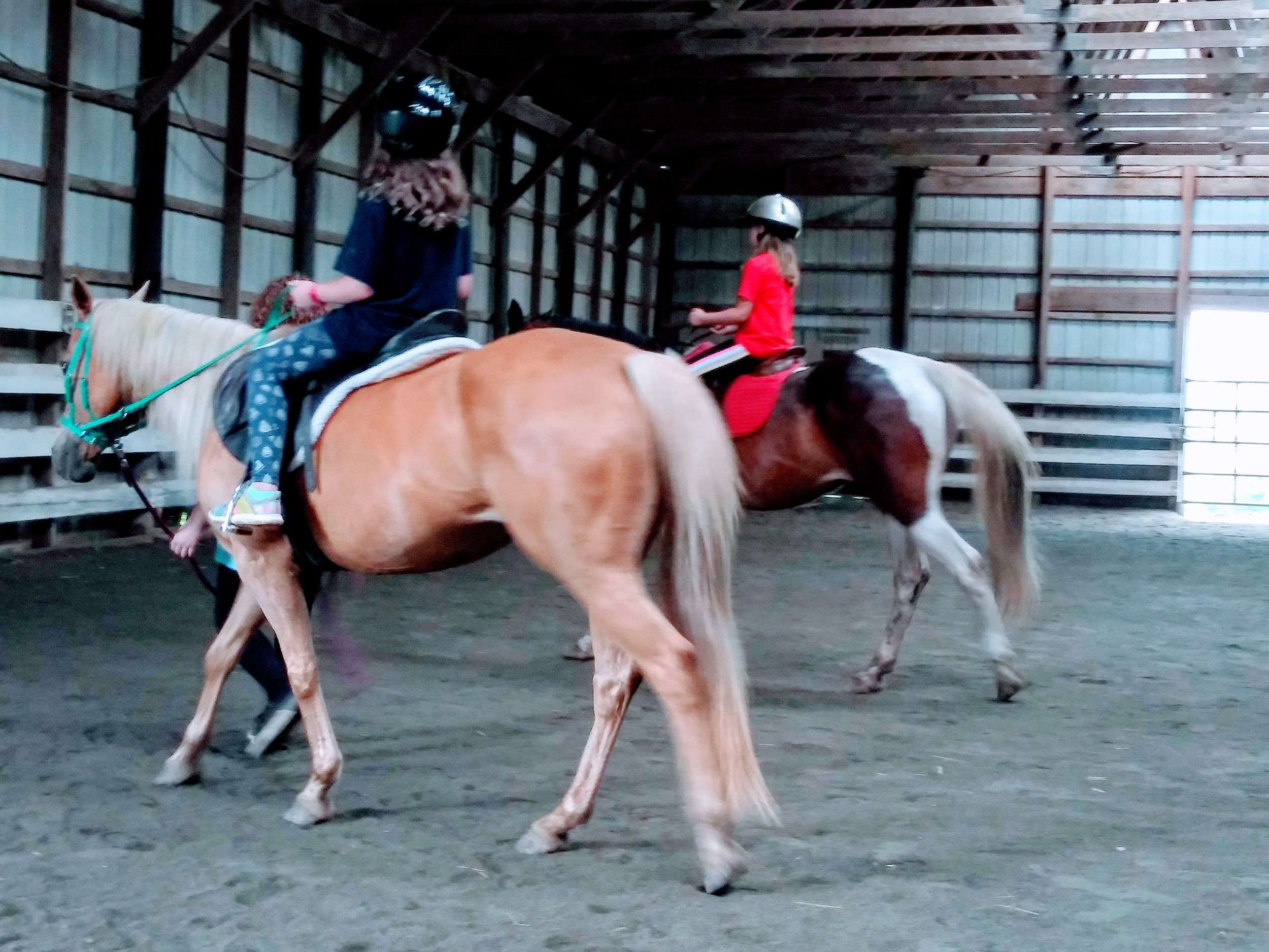 Triple L Ranch LLC | Riding Lessons | Horsemanship | English | Western