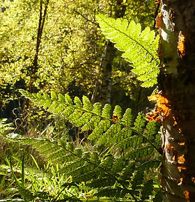 Home page | Emily Kasriel