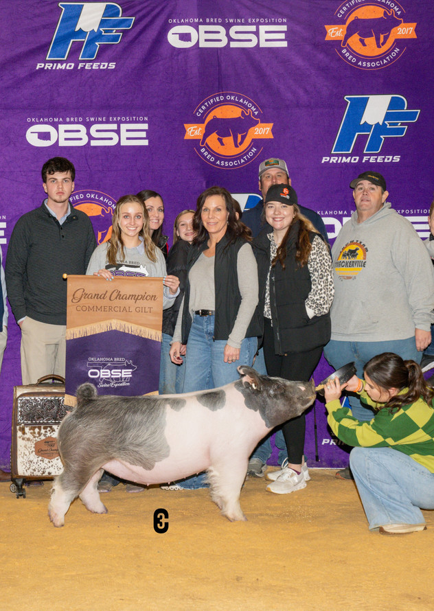 HOME | Primo Feed Southwest