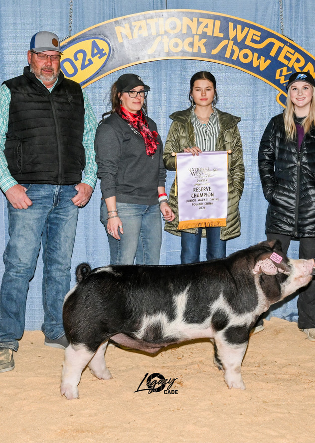 HOME | Primo Feed Southwest