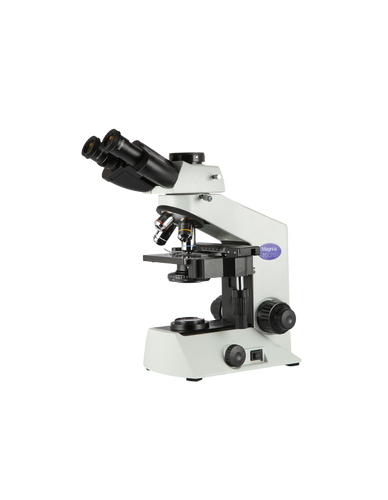 Magnus MX 21i Compound Microscope | G K GLOBAL